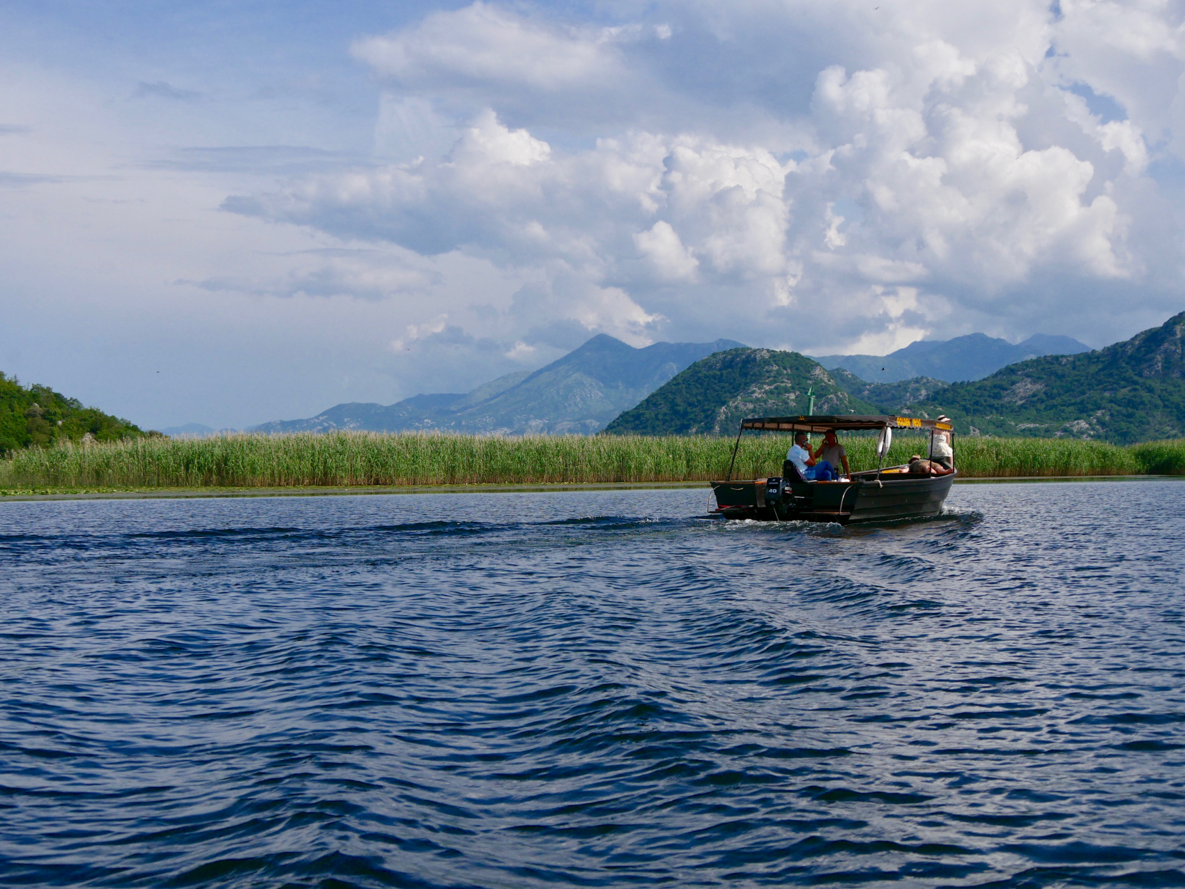 Le Lac de Skadar : que faire dans ce parc national ? – Les Ptits ...