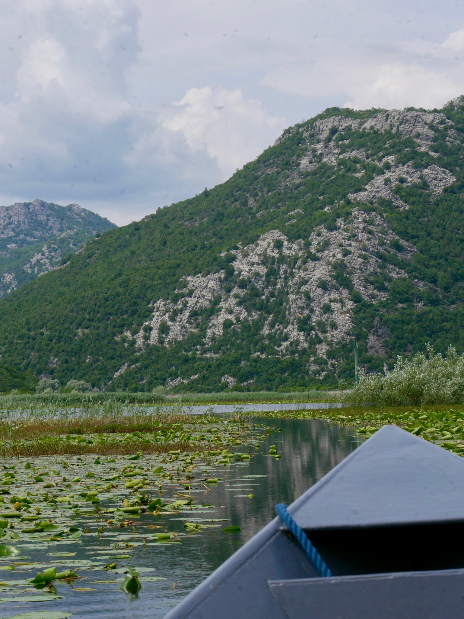 Le Lac de Skadar : que faire dans ce parc national ? – Les Ptits ...